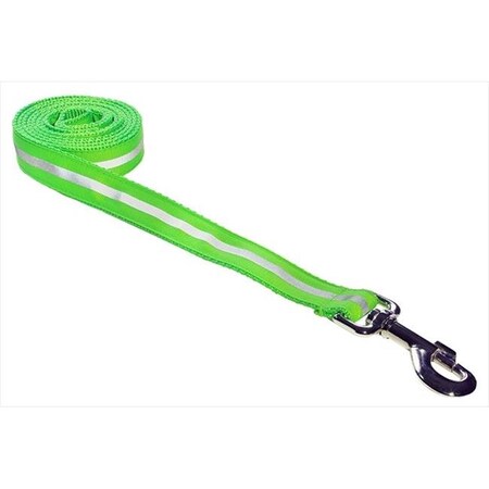 Fly Free Zone 6 ft. Reflective Dog Leash; Green - Medium FL685326 | Zoro