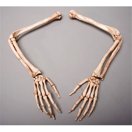 Skeletons And More Skeletons and More SM370DLA Aged Left Skeleton Arm ...