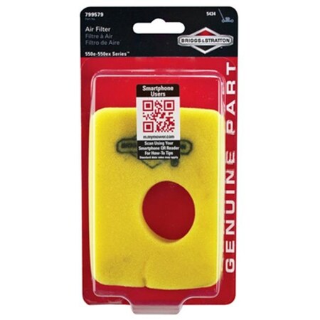 Briggs & Stratton Briggs & Stratton 5434K Air Filter Cartridge 163669 ...