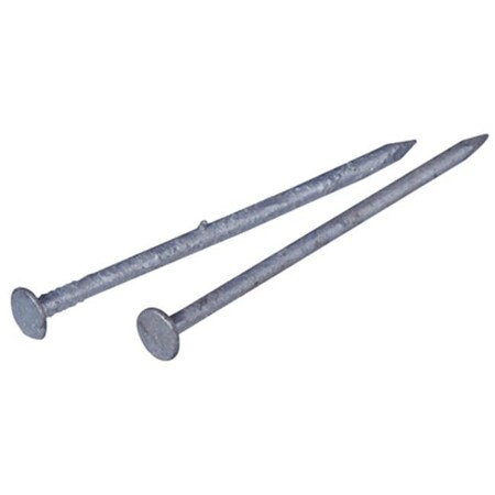 Hillman Common Nail, 4-1/2 in L, 30D, Steel, Galvanized Finish 195780 ...