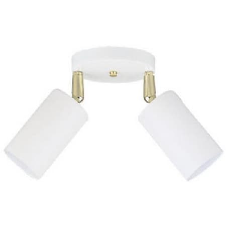 Westinghouse Westinghouse 66682 2 Light Multi-Directional Ceiling ...