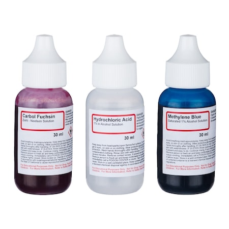 Amscope Acid Fast Stain Kit of Three Chemicals for Preparing Microscope ...
