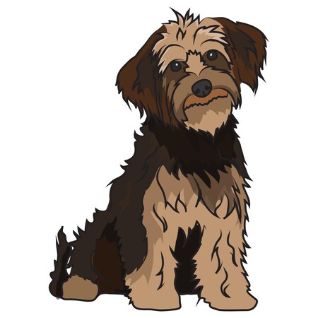 Signmission Yorkipoo Dog Decal, Dog Lover Decor Vinyl Sticker D-12 ...