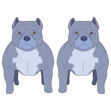 Signmission American Bully Dog Decal, Dog Lover Decor Vinyl Sticker D ...