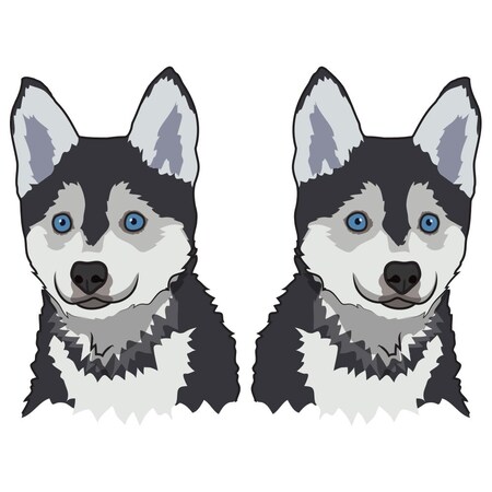 Signmission Pomsky Dog Decal, Dog Lover Decor Vinyl Sticker D-18-Pomsky ...