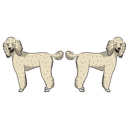 Signmission Poodle Dog Decal, Dog Lover Decor Vinyl Sticker D-18-Poodle ...