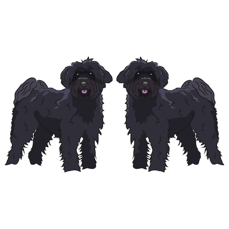 Signmission Schnoodle Dog Decal, Dog Lover Decor Vinyl Sticker D-24 ...