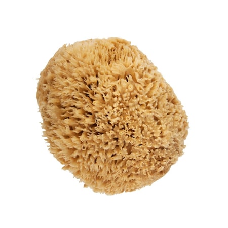 Xero Natural Sea Wool Sponge Small SWL - Small | Zoro