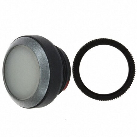 Rafi Switch Push Button Flush Round Button Momentary C 1.30.250.021 ...