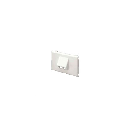 Panduit SNAP-ON HORIZONTAL SLOPED, COMMUNICATION FACEPLATE, 2 POSITION ...