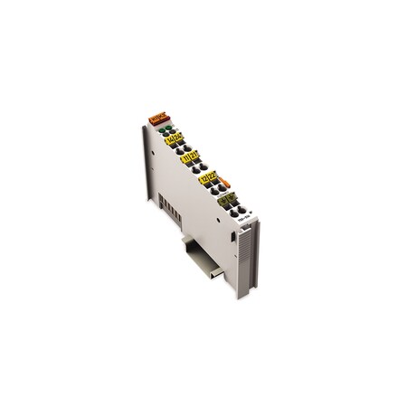 Wago RELAY OUTPUT MODULE 2-CH, 125VAC-0.5A/30DC-1.0A, 436452 | Zoro