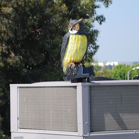 Bird Barrier Visual Bird Repellers, Screech-Owl SD-OWL2 | Zoro