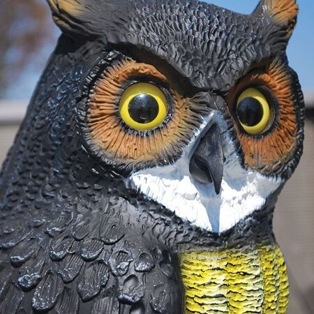 Bird Barrier Visual Bird Repellers, Screech-Owl SD-OWL2 | Zoro