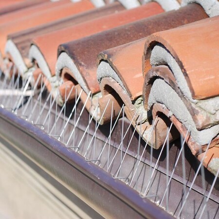 Bird Barrier Bird Repellent Spikes, Gutter-Point, PK50 GP-SG50 | Zoro