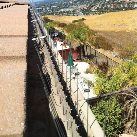 Bird Barrier Bird Repellent Spikes, Gutter-Point, PK50 GP-SG50 | Zoro