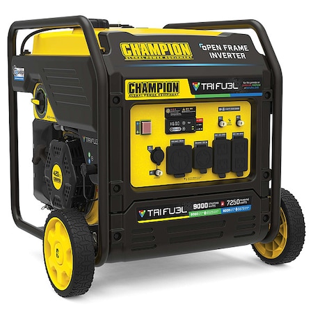 Champion Power Equipment Portable Generator, Gasoline/Natural Gas ...