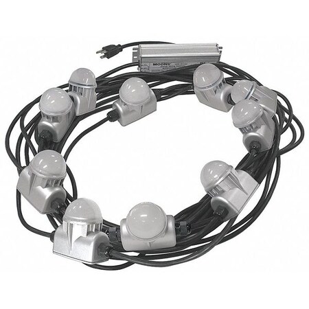 Lumapro LUMAPRO 600 Lumens, LED Temporary String Light 21YT65 | Zoro