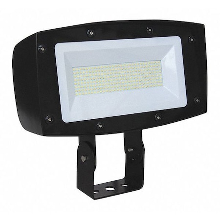 Signify Flood, 150W, Trunion Mount PFL150-NW-G1-T-FL-8-BZ | Zoro