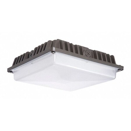 Signify Garage/Canopy, 40W, Type 5 PGC40-NW-G1-SM-5-8-BZ | Zoro