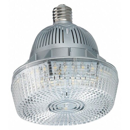 Lumapro LED Retrofit Lamp, E39,100W, 5700K 22PV19 | Zoro