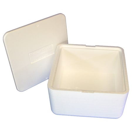 Polar Tech Industries Insulated Shipping Bio Foam & Carton, 1-5 Day ...