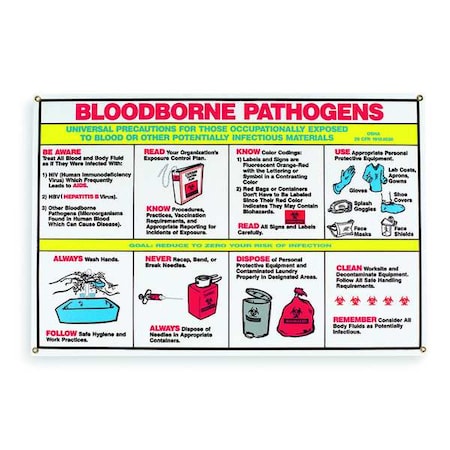 Brady Poster, 18X24, Bloodborne Pathogen, Spanish PS125S | Zoro