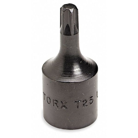 BLACKHAWK BY PROTO 3/8 in Drive, Torx Bit Socket, 1 15/16 in - TS-1350