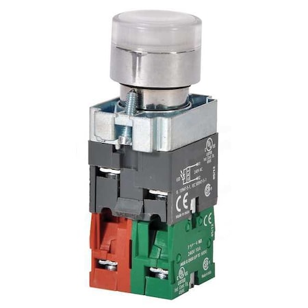 Dayton Illuminated Push Button, 22 mm, 1NO/1NC, White 30G204 | Zoro