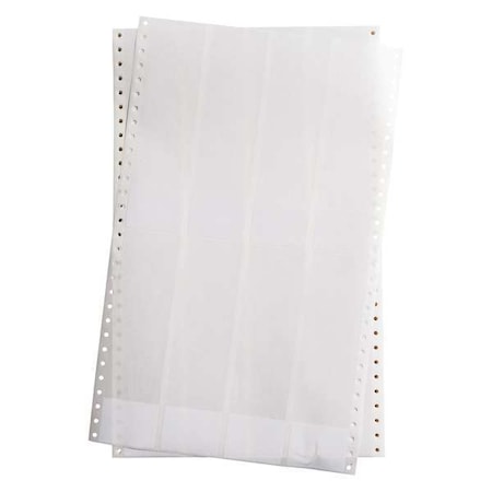 Brady Label, Wh/Clear, 2inWx7.44inH, Brady B-292 DAT-14-292-1 | Zoro