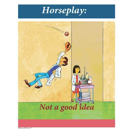 Safetyposter.Com Safety Poster, Horseplay - Not A Good, EN SW0027 | Zoro