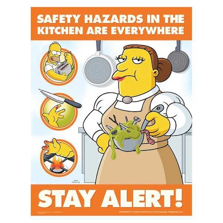 Safetyposter.Com Simpsons Safety Poster, Safety Hazards, EN S1129 | Zoro