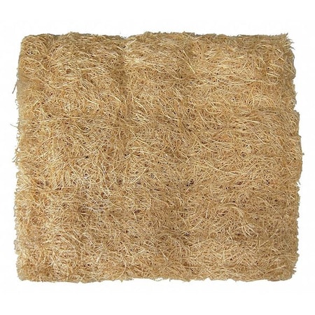 Champion Cooler Aspen Pad 110092 | Zoro