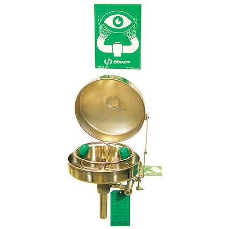 Haws Dust Cover, Stainless Steel for EyeWash 9102 | Zoro