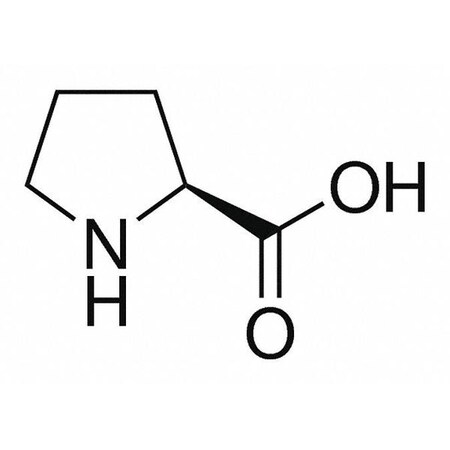 Sigma-Aldrich L-Proline, Contains 10g, CAS 147-85-3 81709-10G | Zoro