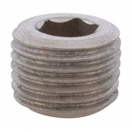 Dayton Plug PPTPXW808G | Zoro