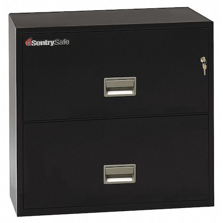 Sentry Safe 2 Drawer Fire-Resistant Filing Cabinet, Black, Letter/Legal ...