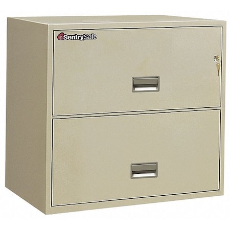 Sentry Safe 2 Drawer Fire-Resistant Filing Cabinet, Putty, Letter/Legal ...