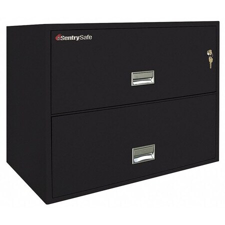 Sentry Safe 2 Drawer Fire-Resistant Filing Cabinet, Black, Letter/Legal ...
