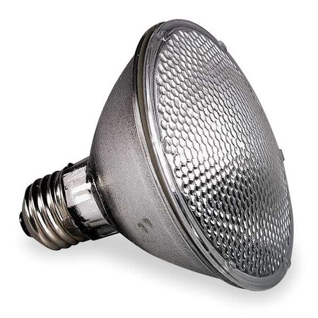 Current Halogen Floodlight, PAR30, 60W 60PAR30/H/FL25-120V | Zoro