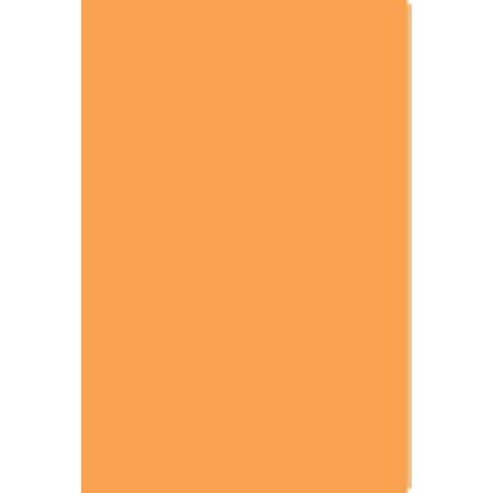 Labelmaster Weather-Resistant Label 4"x6", Orange, Pk500 BTV46O | Zoro