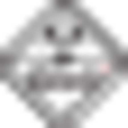 Labelmaster Hazmat Shipping Flag Radioactive I, PK500 ML14 | Zoro