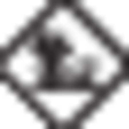 Labelmaster Hazmat Shipping Flag, Env Haz Sub, PK500 ML64 | Zoro