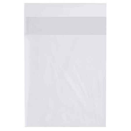 Partners Brand Flap Lock Poly Bags, 12" x 16", 2 mil, Clear, 1000 PK ...