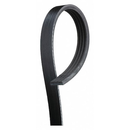 Acdelco V-Ribbed Serpentine Belt, 12576447 12576447 | Zoro