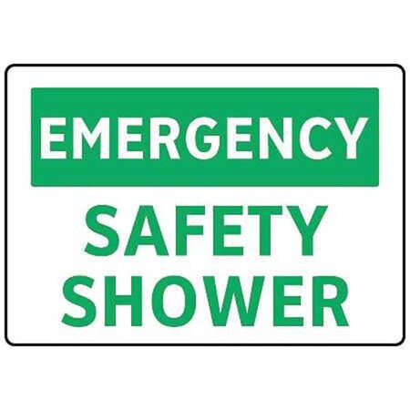 Electromark Emergency Safety Shower, 10 in W x 7 in H, Aluminum S181FA ...
