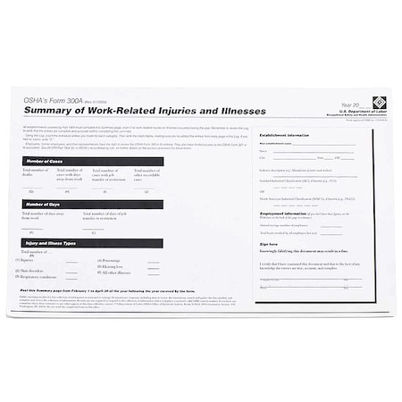 Brady Forms, OSHA 300A Log, PK25 OR300A | Zoro