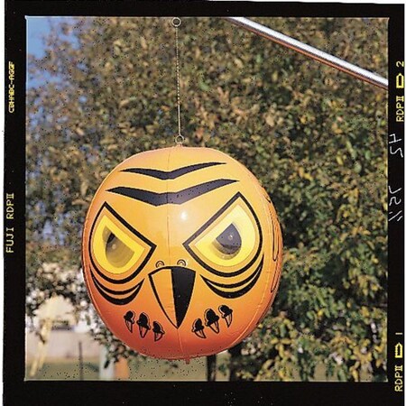 Bird-X Visual Bird Repellers, Scare Eyes, Orange T-EYES+ | Zoro