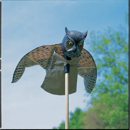 Bird-X Visual Bird Repellers, Prowler Owl OWL | Zoro