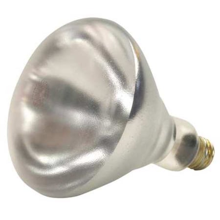 Shat-R-Shield SHAT-R-SHIELD 250W, R40 Incandescent Light Bulb 250BR40/1 ...