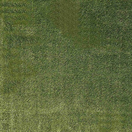 Msi Emerald Green Sample Pre Cut Artificial Grass Turf Roll ZOR-PC-TRF ...